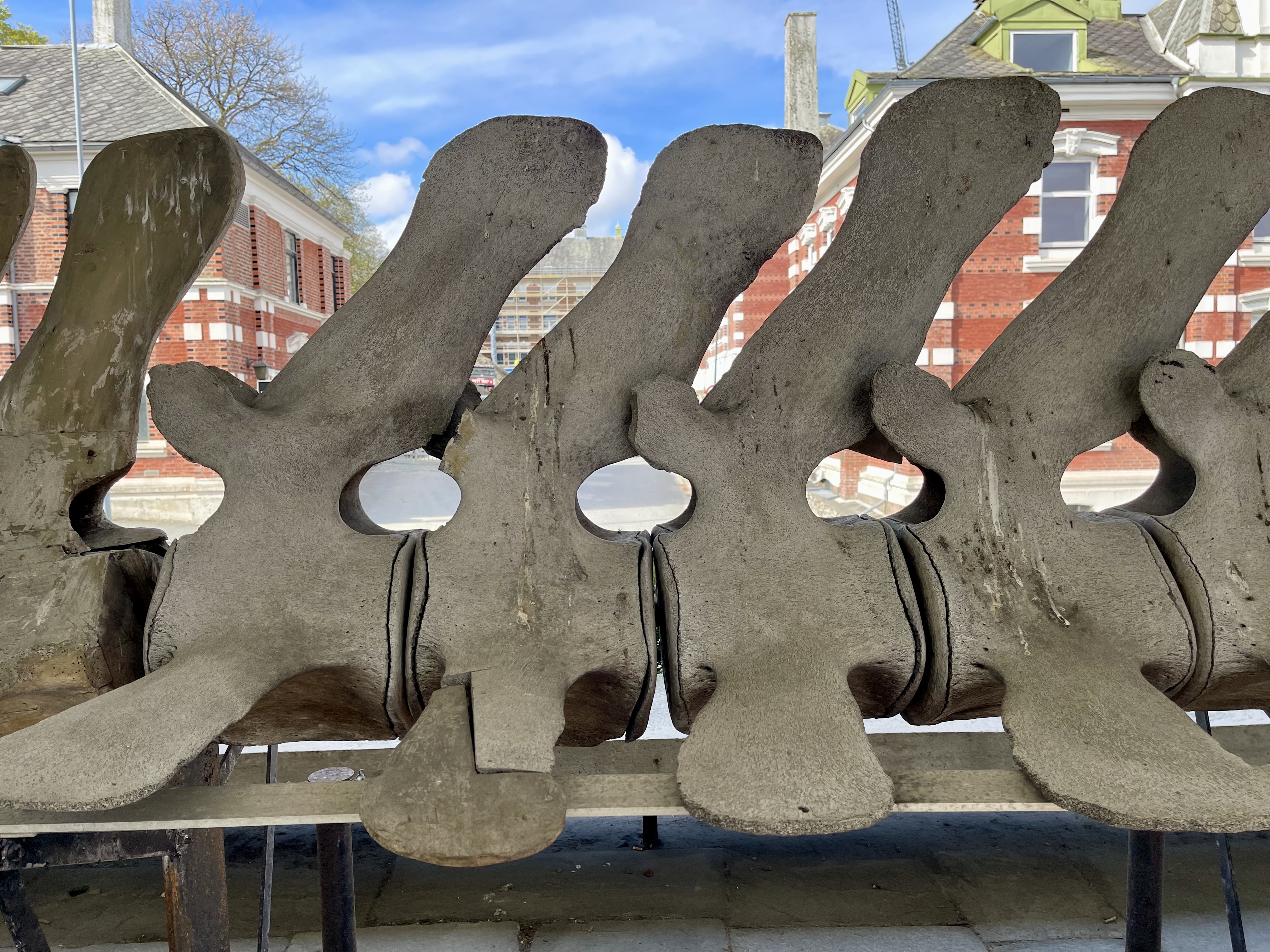The Whale - Stavanger Museum