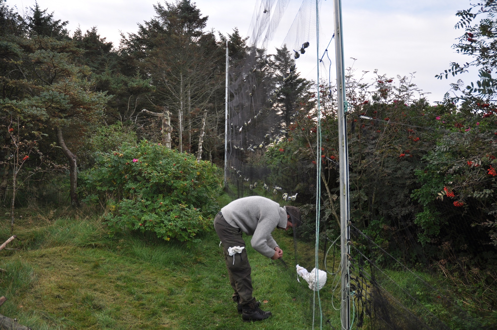 Revtangen Bird Observatory - Stavanger Museum